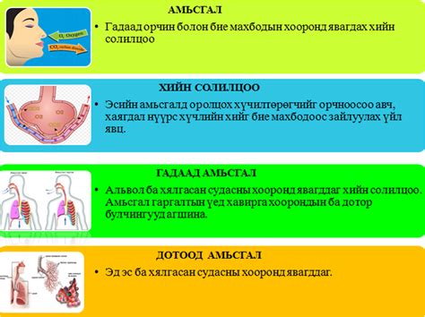 Мэдлээ Цахим контент