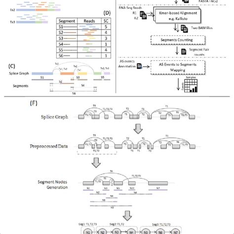 An Overview Of Transcriptome Segmentation And Yanagi Based Workflow