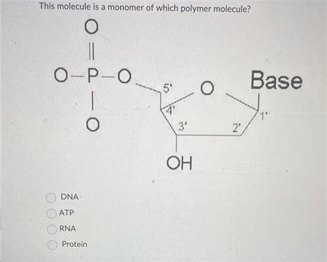 Solved The Molecule Of Insulin Is A Dimer Of Two Protein