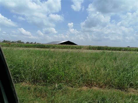 Silaging Options And The Grass Silage Vvs Zambia