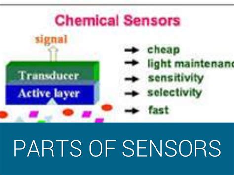 Chemical Sensors By Vaishu Jeeva