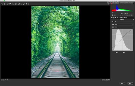 详细解析PS曲线工具的使用技巧 3 PS教程网