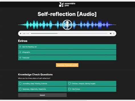 Self Reflection Qintil