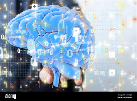 Digital Human Brain Render With A Connected Network Of Binary Code