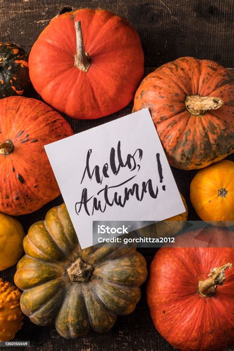 안녕하세요 가을 다양한 모양과 색상의 많은 여러 가지 색깔의 호박과 Gourds의 더미 다른 종류 다채로운 호박 장식 0명에 대한 스톡 사진 및 기타 이미지 Istock