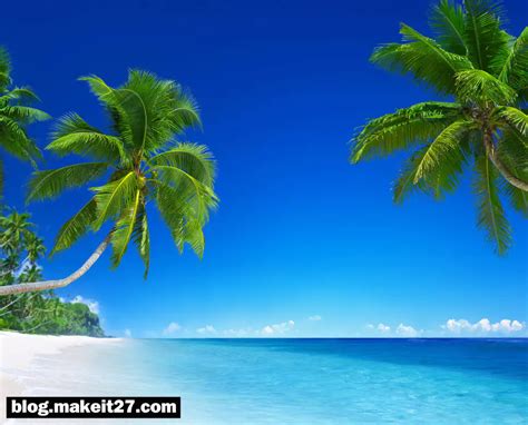 이벤트 뜻 페이스 뜻 팜 뜻 지금 바로 확인하세요 블로그잇27