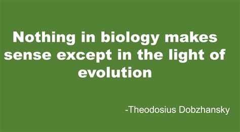 Fileevolution3 Apoe4info Wiki