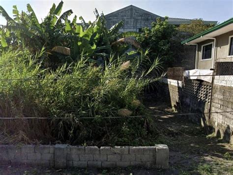 Near Mcdo Megaworld Capital Town Csfp Walking Distance To Shell [lots
