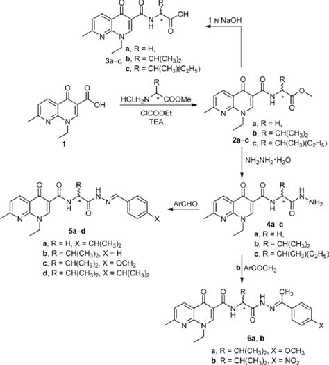 Scheme 1 Synthetic Routes For Compounds 2 6 Download Scientific