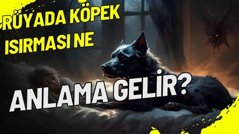 Rüyada Köpek Görmek Ne Anlama Gelir Youtube