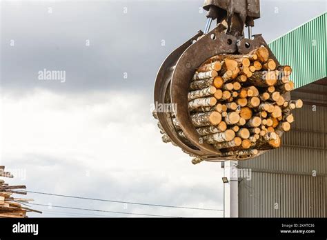 Log Loader Or Forestry Machine Loads A Log Truck Stock Photo Alamy