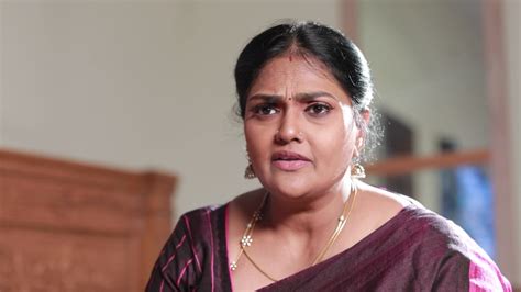 Watch Pandian Stores 2 Episode 213 On Jiohotstar