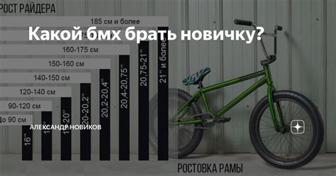 Какой бмх брать новичку? | Экстремально-трюковой спорт | Дзен