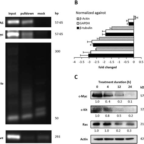 A Chemical Affinity Capture Assay Using Complex 1 Against