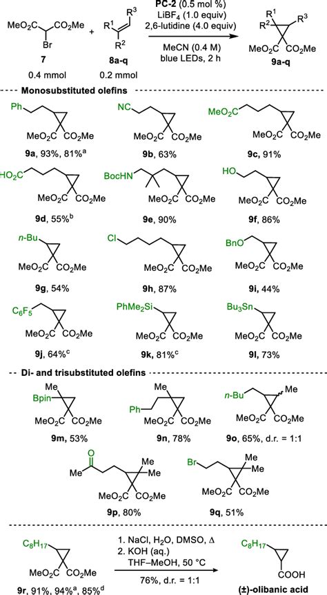 Substrate Scope A 2 0 Mmol Scale B Reaction Conducted In Sulfolane C