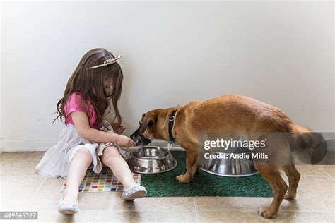 Dog Eats Out Girl Stock Fotos Und Bilder Getty Images