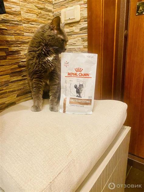 Отзыв о Сухой корм для кошек Royal Canin Gastrointestinal Fibre