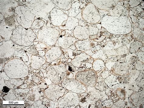 Microscopy Sedimentary Rocks Geohub Liverpool