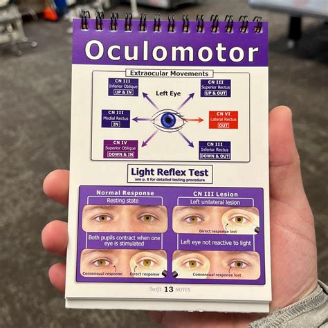 Cranial Nerves Anatomy Testing Assessment Etsy