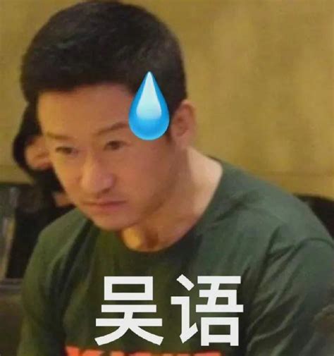 吴京的表情包 知乎