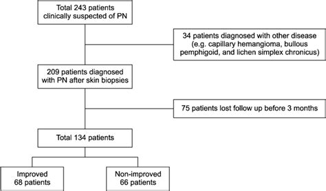 Patient Flowchart Pn Prurigo Nodularis Download Scientific Diagram