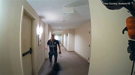 Man In Anaheim Dog Abuse Case Turns Himself In To Authorities Nbc Los