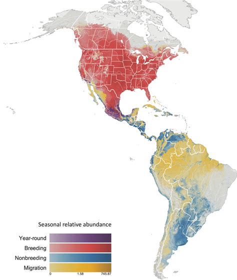 Seasonal Relative Abundance Of Barn Swallow Hirundo Rustica This Map
