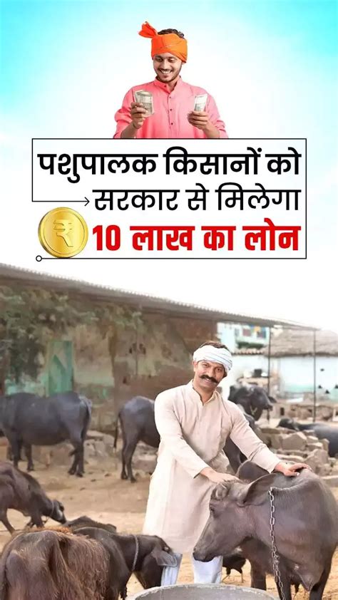 पशुपालक किसानों को सरकार से मिलेगा 10 लाख का लोन पूरी जानकारी