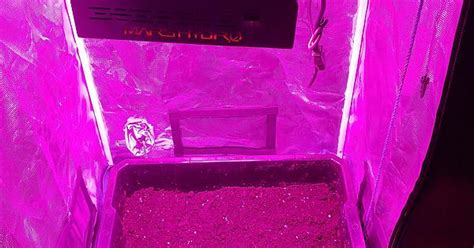 Little By Little Im Getting Closer To Full Automation For Growing My