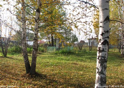 Фотографии памятника защитникам родины в посёлке Красная Горка