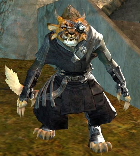 Ash Legion Soldier Guild Wars 2 Wiki Gw2w