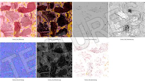 3d Cancer Cell With Lymphocyte Model Turbosquid 2220710