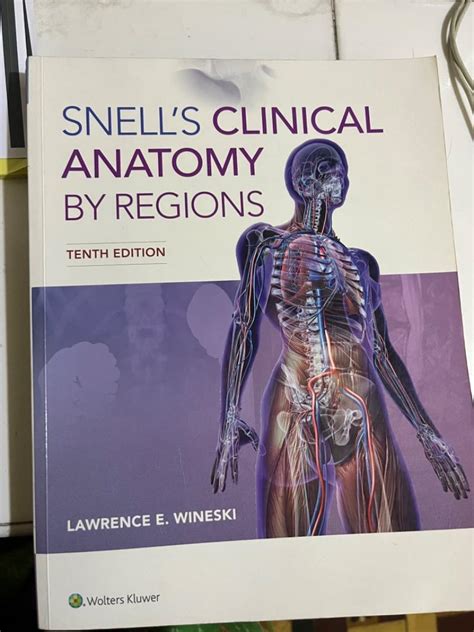 Snells Clinical Anatomy 10th Edition Hobbies And Toys Books And Magazines