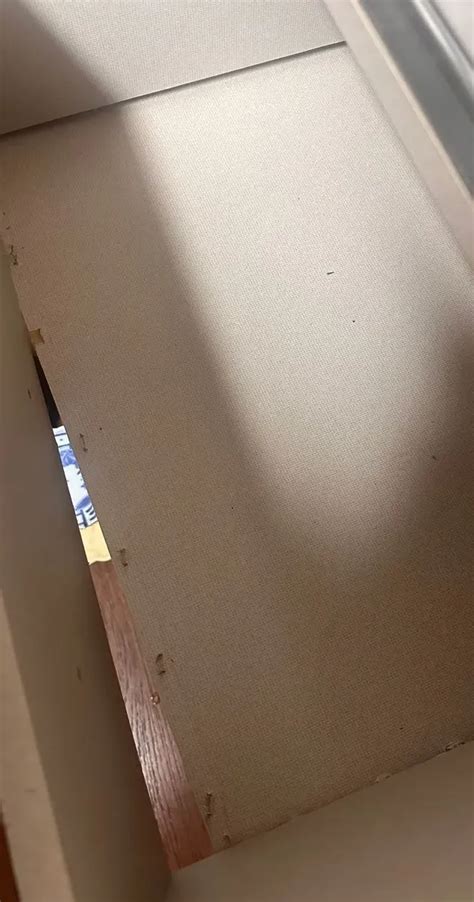 일찍 와주셨고 꼼꼼히 봐주셨습니다 결과물 대만족합니다 숨고 숨은고수