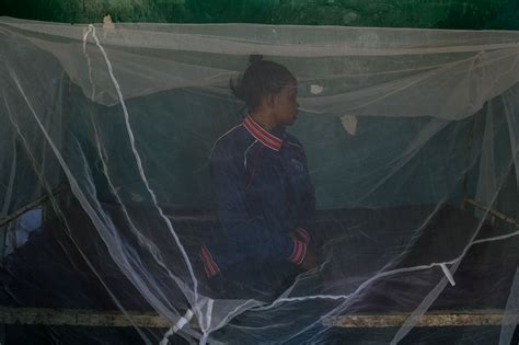 Can Congo Contain Its Exploding Mpox Epidemicand Curtail Its International Spread Science AAAS