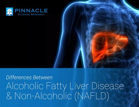Differences Between Alcoholic Fatty Liver Disease And Non Alcoholic