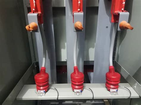 Coupling Capacitor Dynamic Ratings