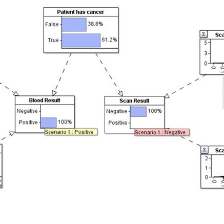 A Bayesian Model Of The Problem With Observed Positive Blood Test And