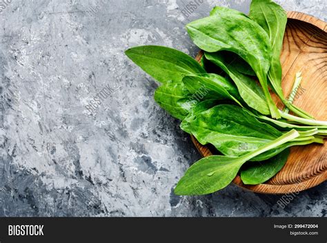 Plantain-valuable Image & Photo (Free Trial) | Bigstock