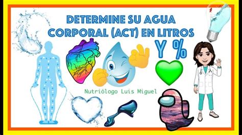 Tabla De Porcentaje De Agua En El Cuerpo Humano 2025