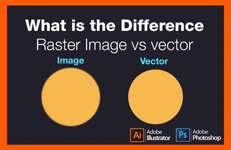 Raster Vs Vector Understanding The Differences