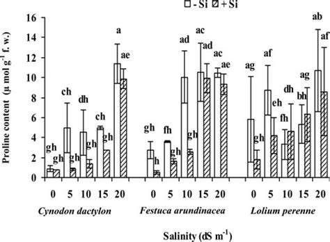 Interaction Effect Of Salinity And Si Different Levels On Proline