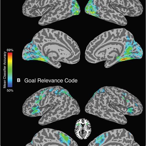 Mni Coordinates Of Left Ifg And Control Left Postcentral Gyrus Tms