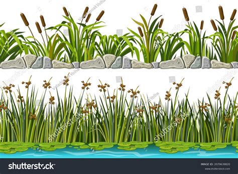 Borders Old Grey Rock Reed Grass Stock Vector Royalty Free 2079639820