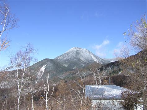 初雪 北八ヶ岳ペンション山の朝通信