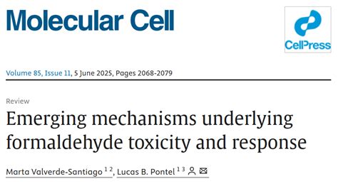 The Urgent Need To Replace Formaldehyde