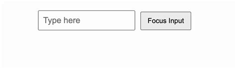 Focus Input Frontend Interview Question Namastedev