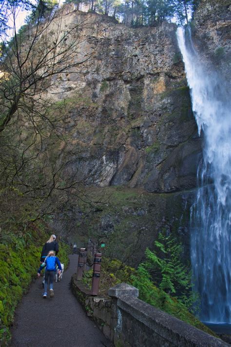 Multnomah Falls Hike Image
