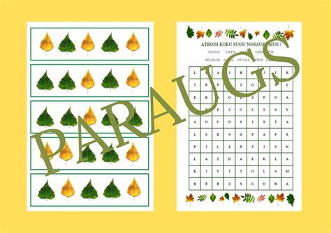 Rudens Lapās Mācību Materiāli