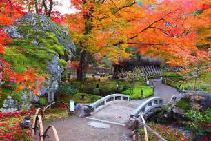 京都観光 宝厳院 秋の特別拝観 薬剤師Stephenのよろずブログ 楽天ブログ